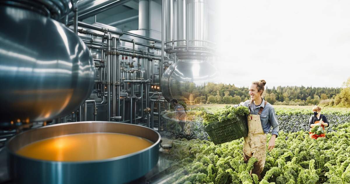 Innovations in Food Grade Gas Applications Unfold - Ramdon